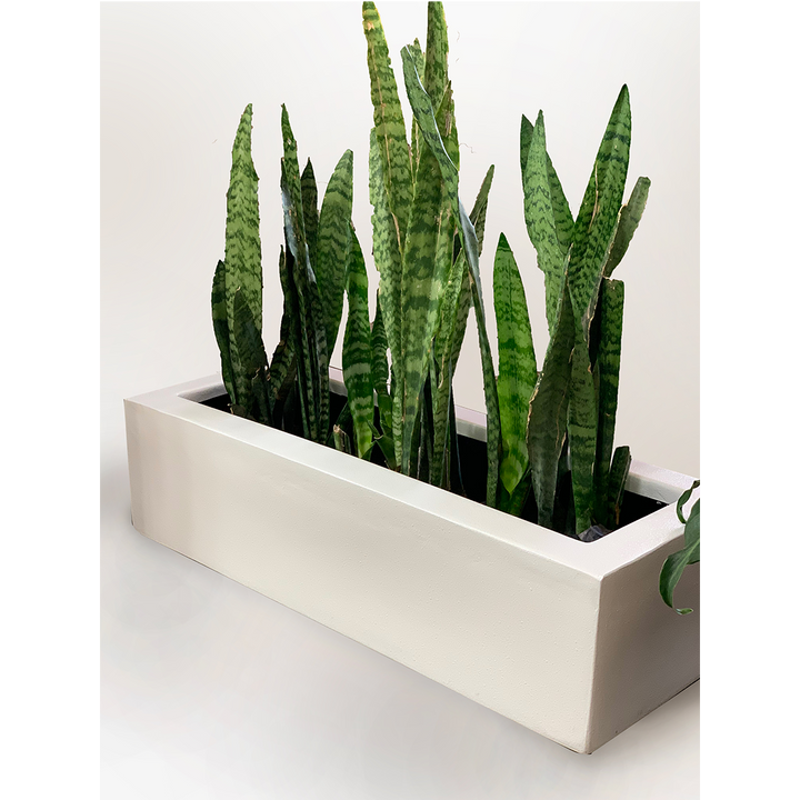 Jardinera rectangular – Anteramx